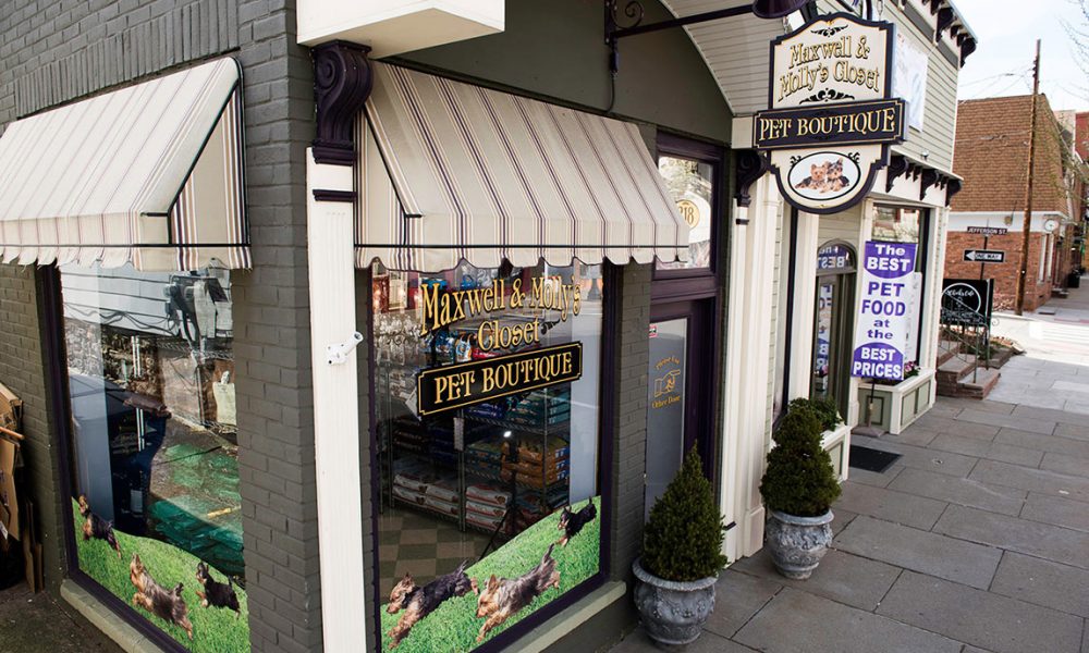 School's in Session for Dog Food Buyers at Maxwell & Molly's Closet ...