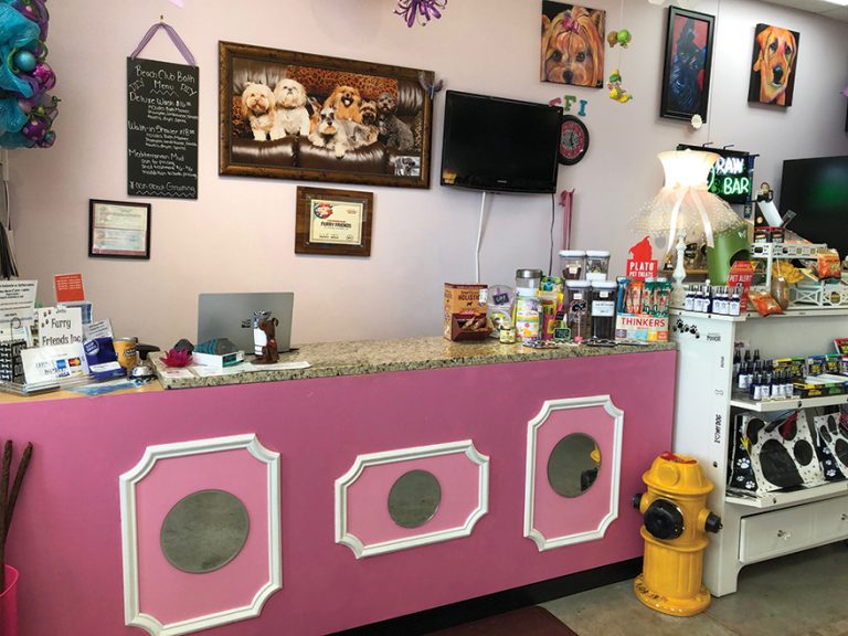 Check Out These 11 Cool Pet-Business Checkout Counters - PETSPLUSMAG.COM