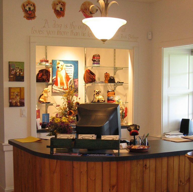 Check Out These 11 Cool Pet-Business Checkout Counters - PETSPLUSMAG.COM