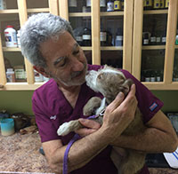 Holistic Veterinarian Dr. Gerald Buchoff on Grain-Free Dog Food and Disease - PETSPLUSMAG.COM