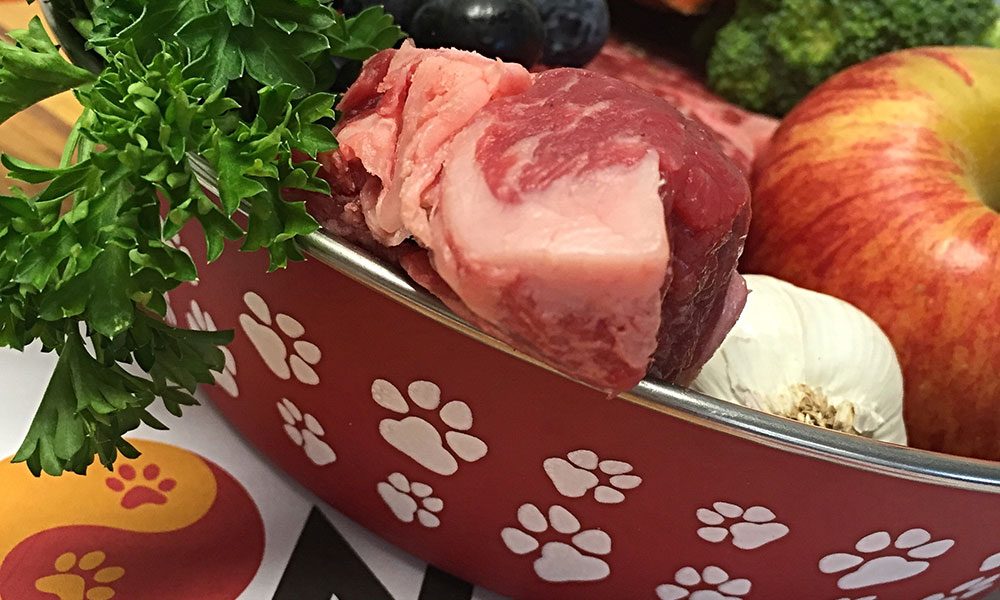 Holistic Veterinarian Dr. Gerald Buchoff on Grain-Free Dog Food and Disease - PETSPLUSMAG.COM