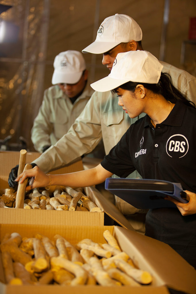 CANOPHERA Announces New Addition to Leadership Team - PETSPLUSMAG.COM