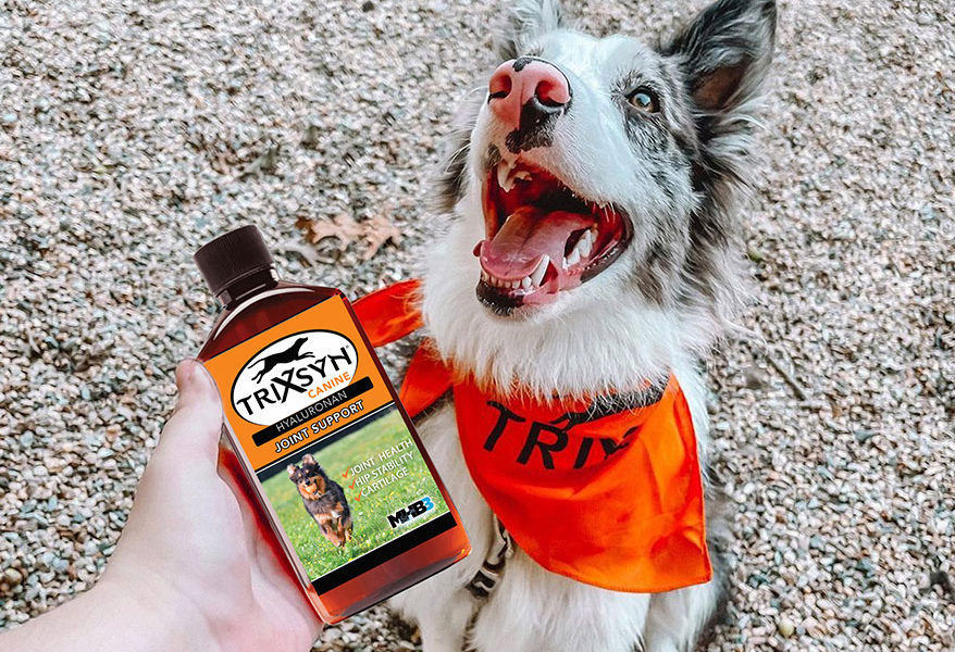 Trixsyn Fact Sheet - PETSPLUSMAG.COM