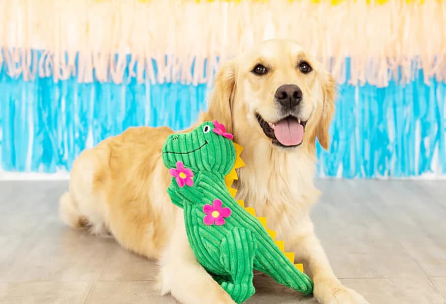 PetShop by Fringe Studio Expands Footprint with Pet Palette ...