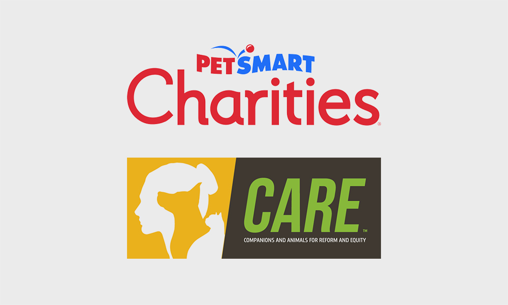 PetSmart Charities Grant to Fund Study Aimed at Advancing Racial Equity ...