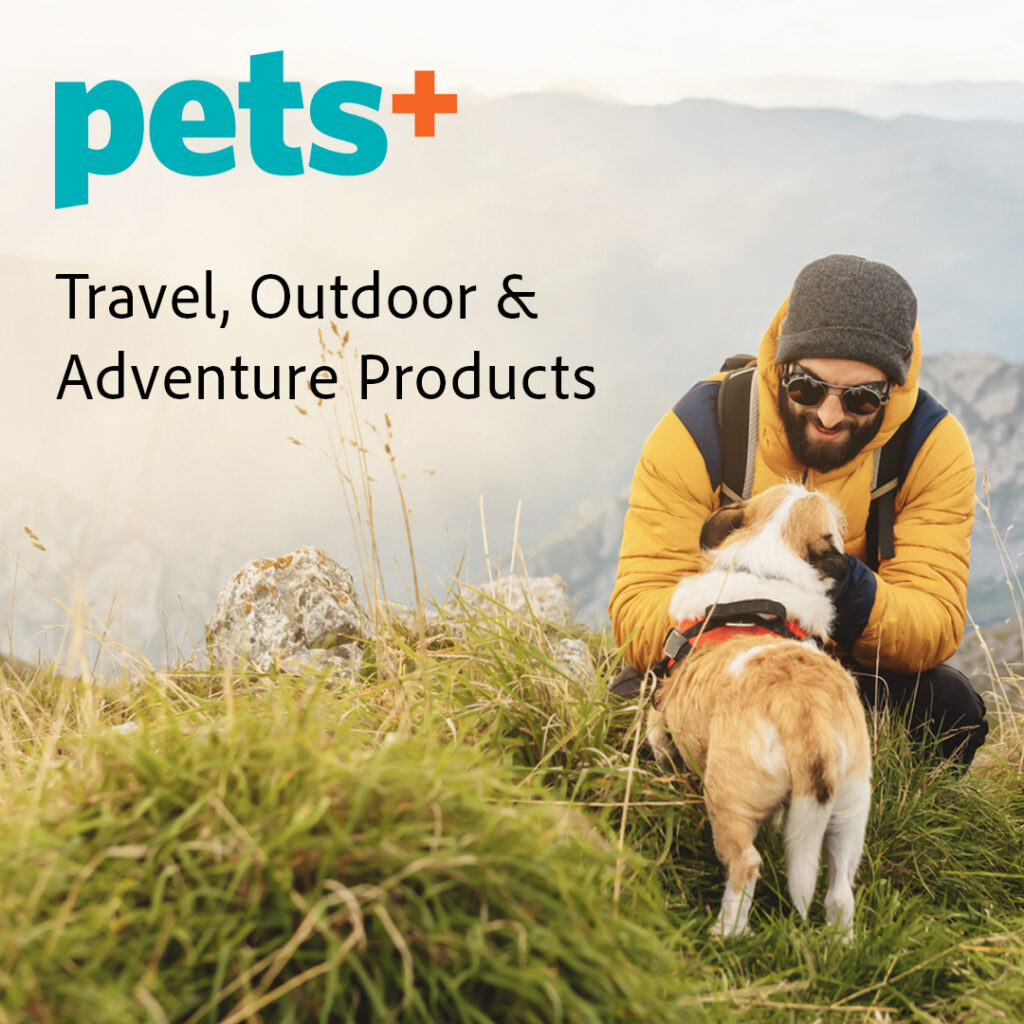 Love Is in the Air for Valentine's Day at These Indie Pet Businesses ...