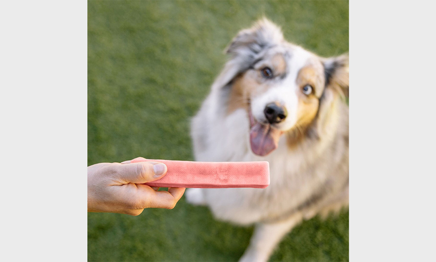 Monolith Brands Highlights Supply-Chain Resilience and Product ...