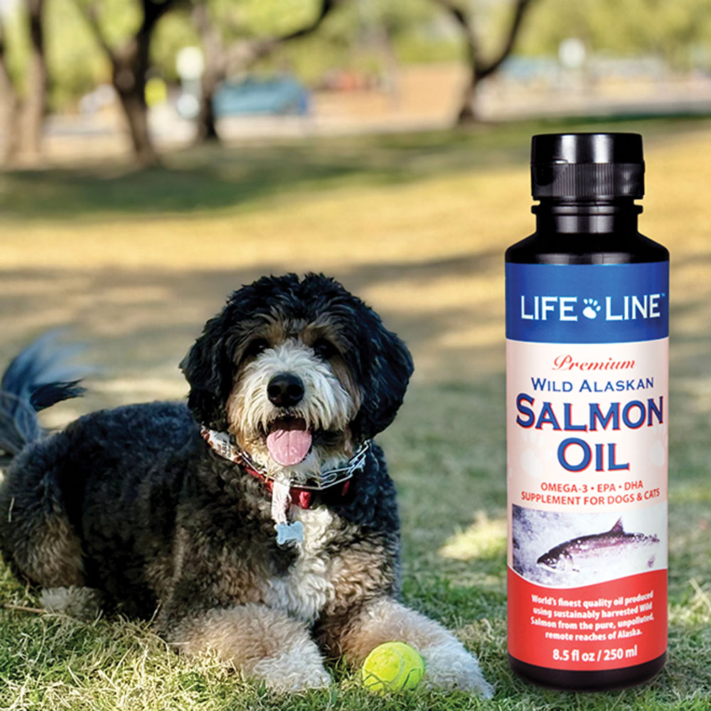 Life Line Pet Nutrition Fact Sheet - PETSPLUSMAG.COM