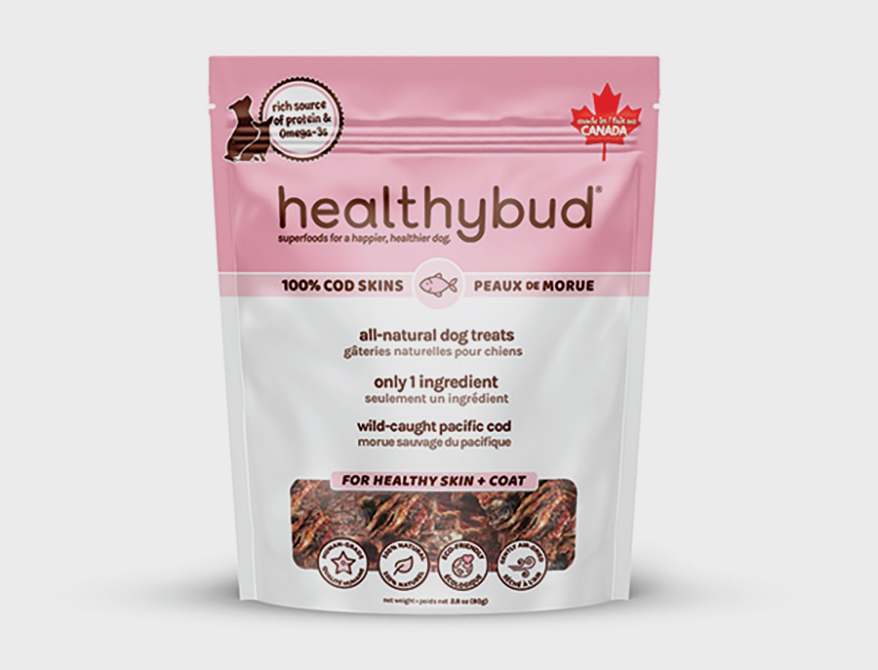 Variety Is the Treat of Life for Dogs - PETSPLUSMAG.COM