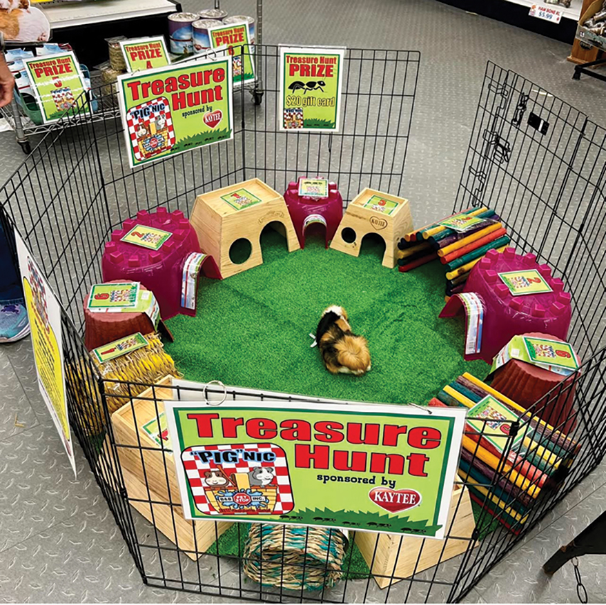 B&B Pet Stop Hosts a Guinea PigNic for Its Customers - PETSPLUSMAG.COM